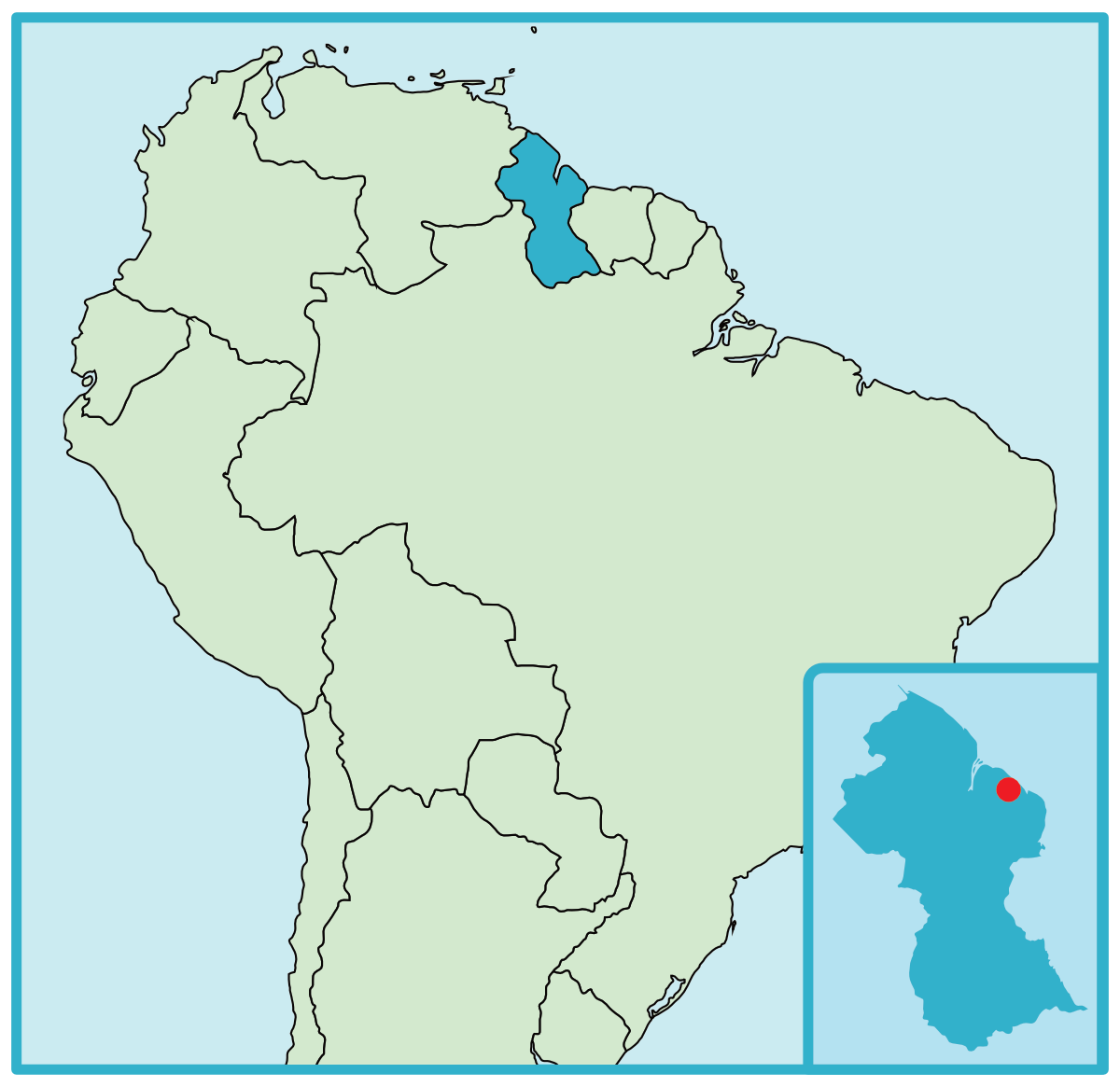 Flag of Guyana - Flagsbook